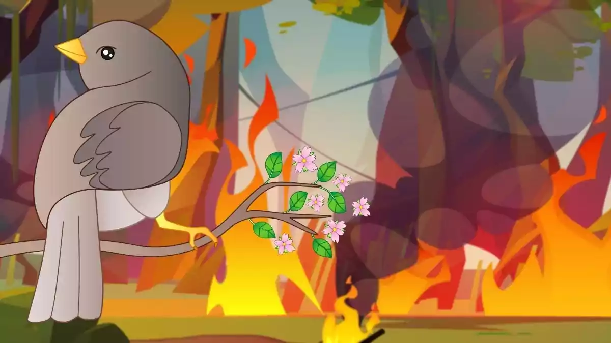 Little Bird | Story on Values - Storybook