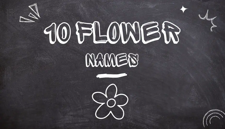 Beautiful 10 Flower Names Every Kid Should Know - Storybook