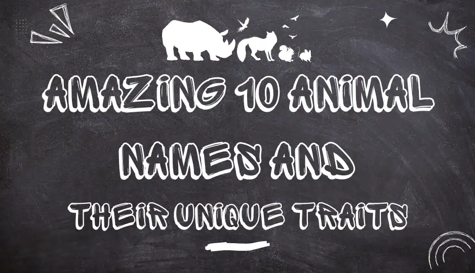 Amazing 10 Animal Names and Their Unique Traits - Storybook